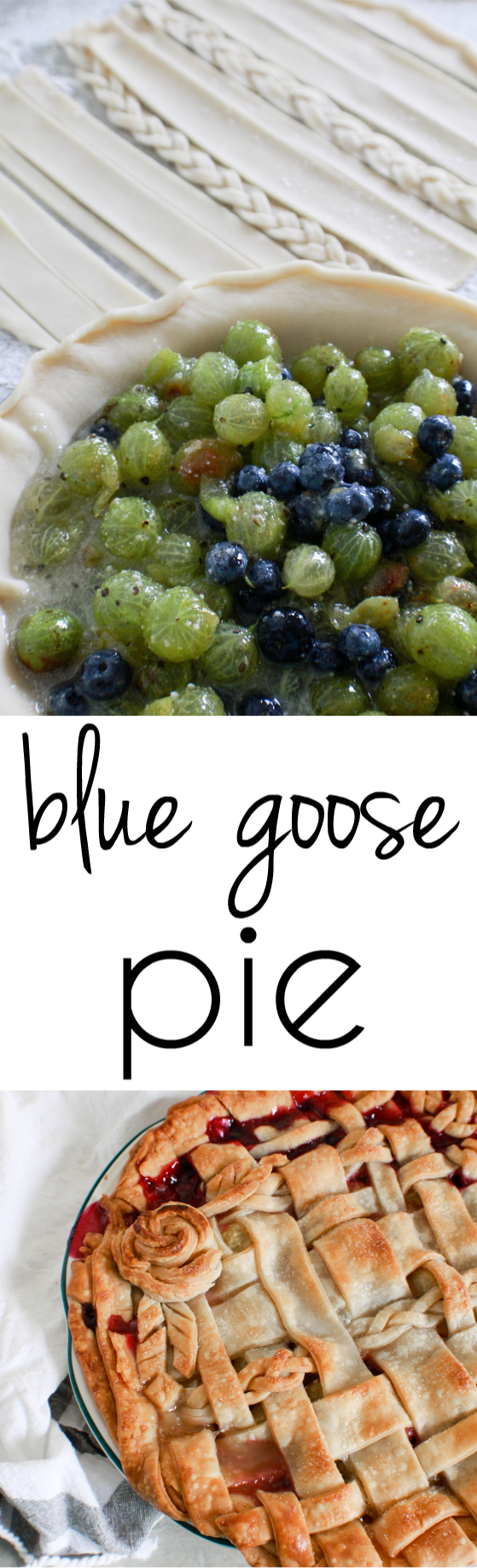 Blue Goose Pie | The Ruby Kitchen